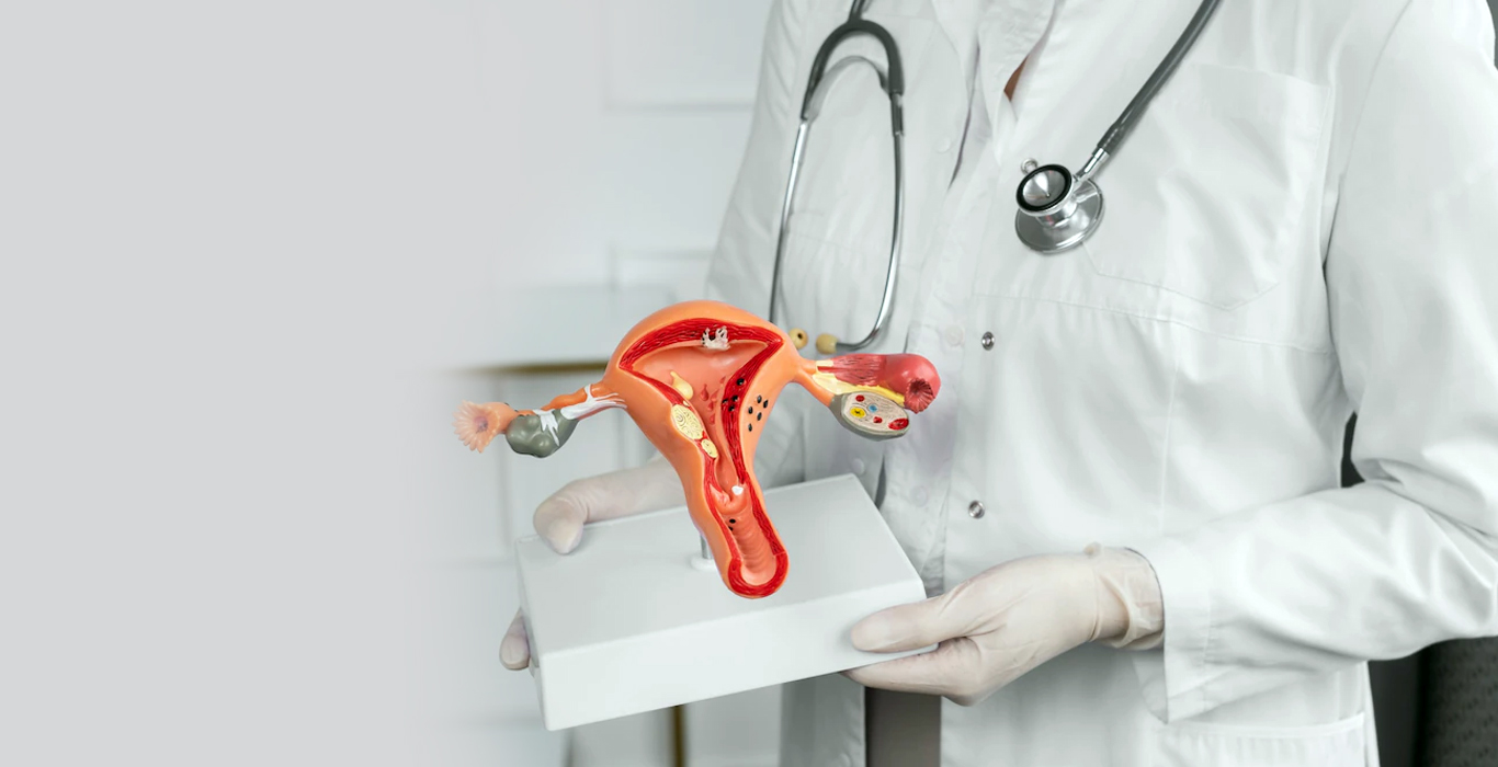 Thin Endometrium Symptoms, Causes and Treatment | Indira IVF