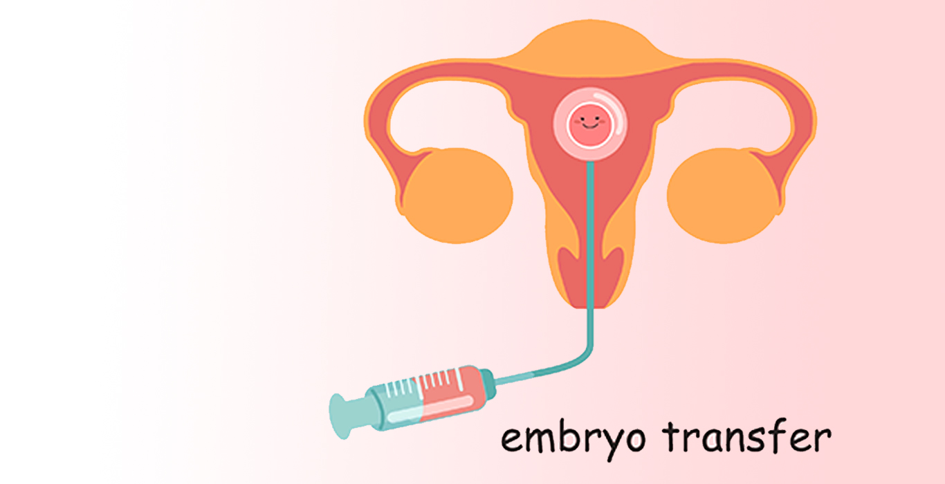How Do Embryos Travel Along The Fallopian Tube? Indira IVF