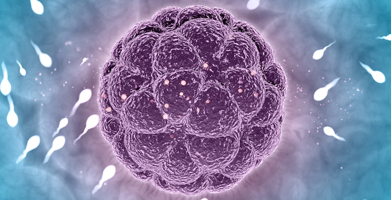 Types of Assisted Reproductive Technology (ART) | Indira IVF